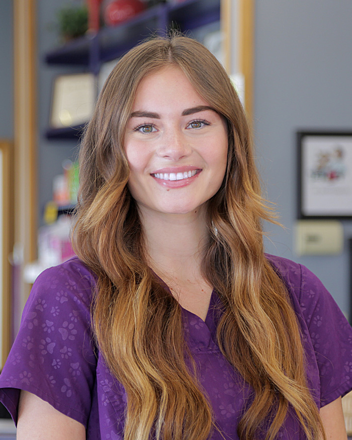 Veterinary Doctors & Staff in Overland Park - Petworks Veterinary Hospital