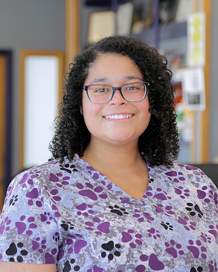 Veterinary Doctors & Staff in Overland Park - Petworks Veterinary Hospital