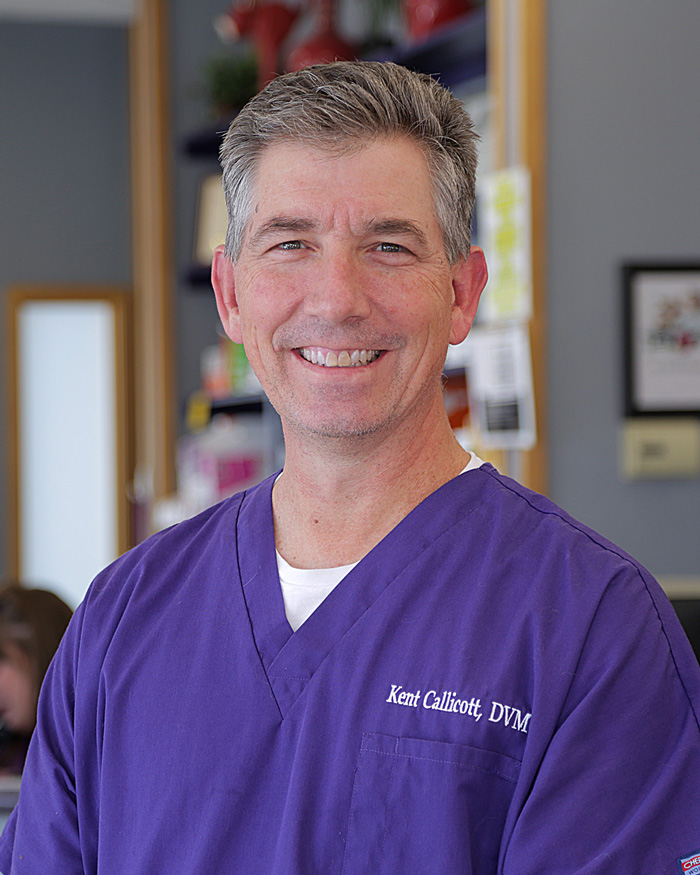 Veterinary Doctors & Staff in Overland Park - Petworks Veterinary Hospital