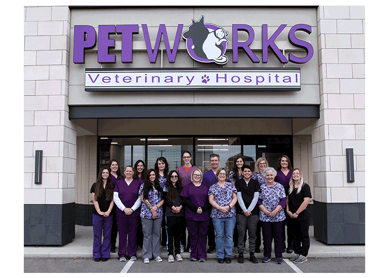 Returning Patient Form - Petworks Veterinary Hospital